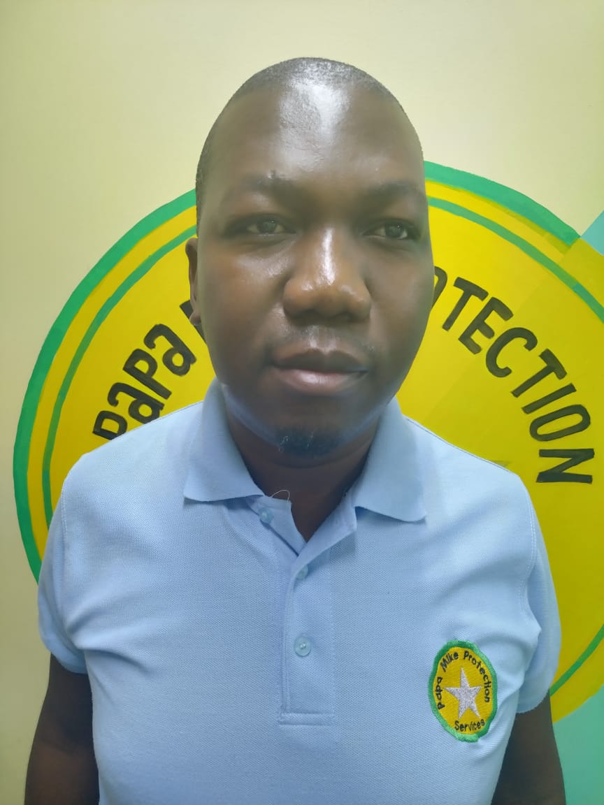 Gallery – PAPAMIKE